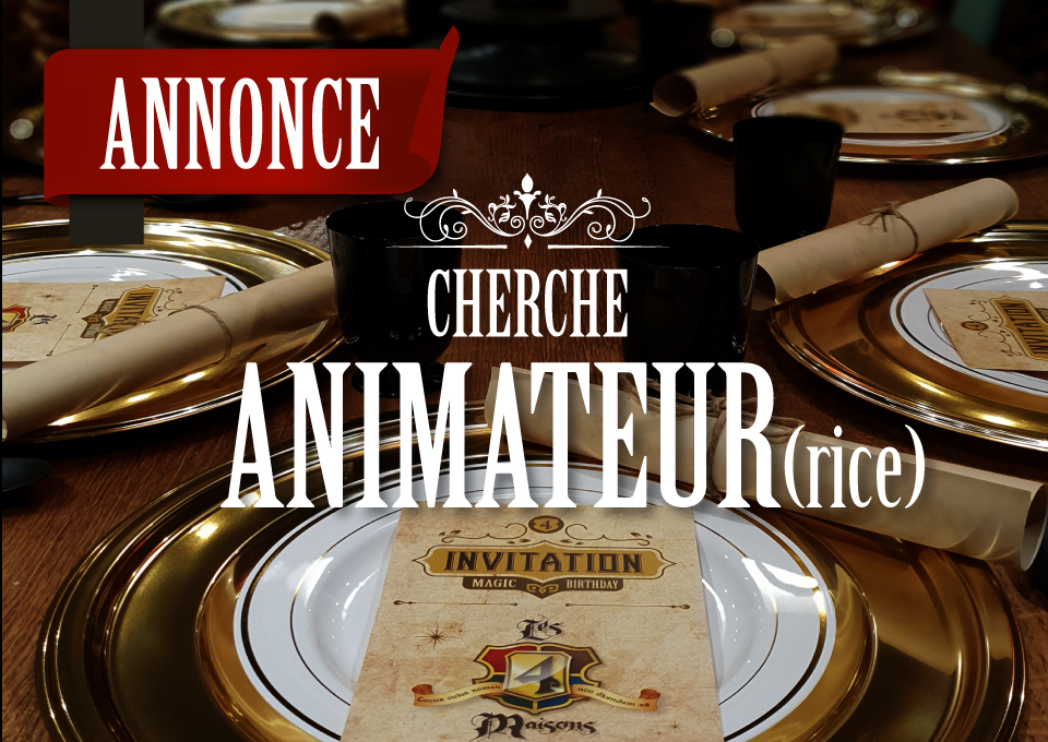 Rejoignez notre équipe magique : devenez animateur(trice) pour nos ...